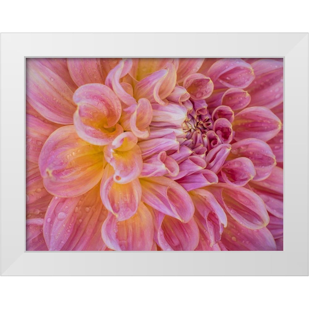 Gulin, Sylvia 18x15 White Modern Wood Framed Museum Art Print Titled ...