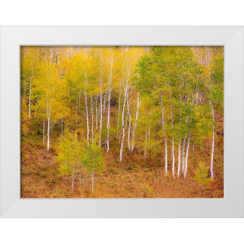 Gulin, Sylvia 18x15 White Modern Wood Framed Museum Art Print Titled ...