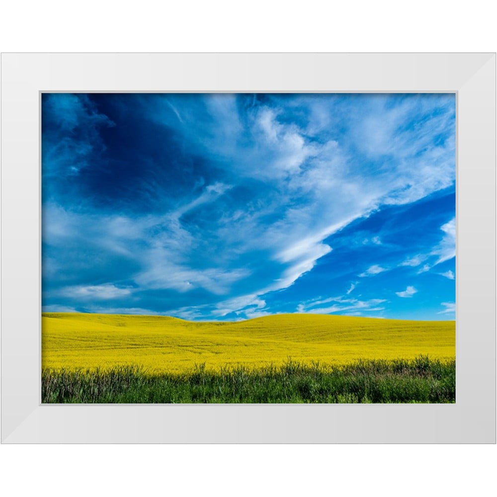 Gulin, Sylvia 18x15 White Modern Wood Framed Museum Art Print Titled - USA-Washington State ...