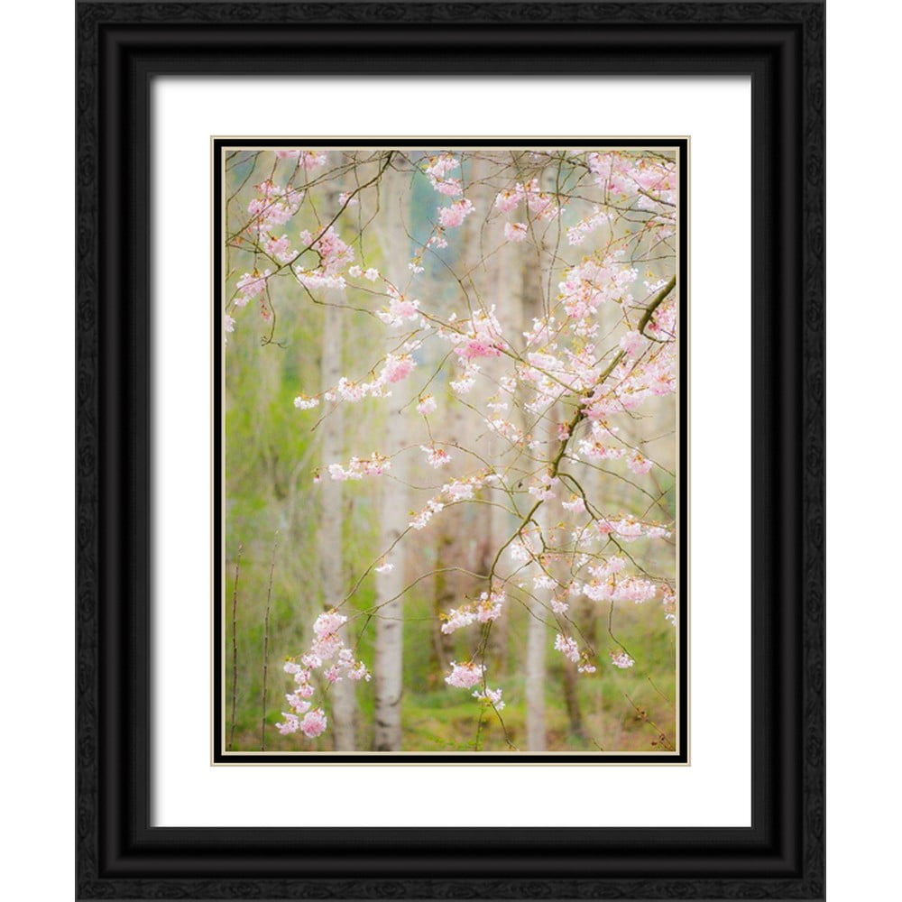 Gulin, Sylvia 19x24 Black Ornate Wood Framed with Double Matting Museum ...