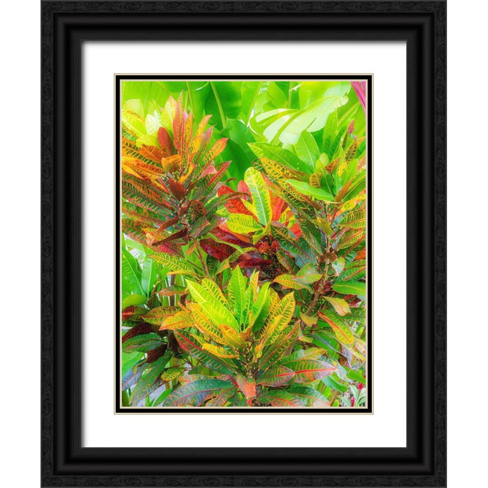 Gulin, Sylvia 19x24 Black Ornate Wood Framed with Double Matting Museum ...