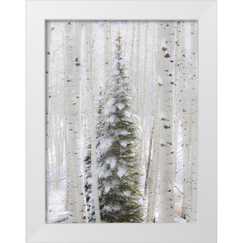 Gulin, Sylvia 19x24 White Modern Wood Framed Museum Art Print Titled ...
