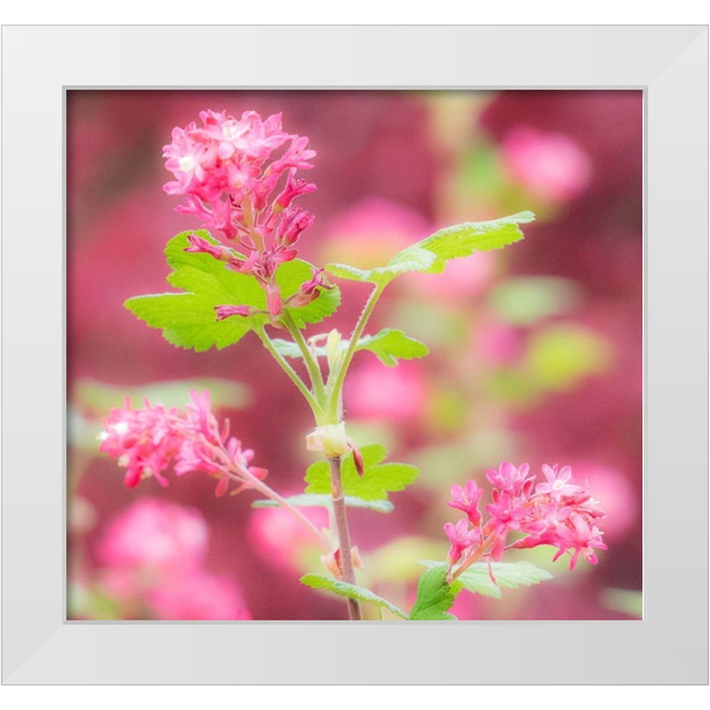 Gulin, Sylvia 21x20 White Modern Wood Framed Museum Art Print Titled ...