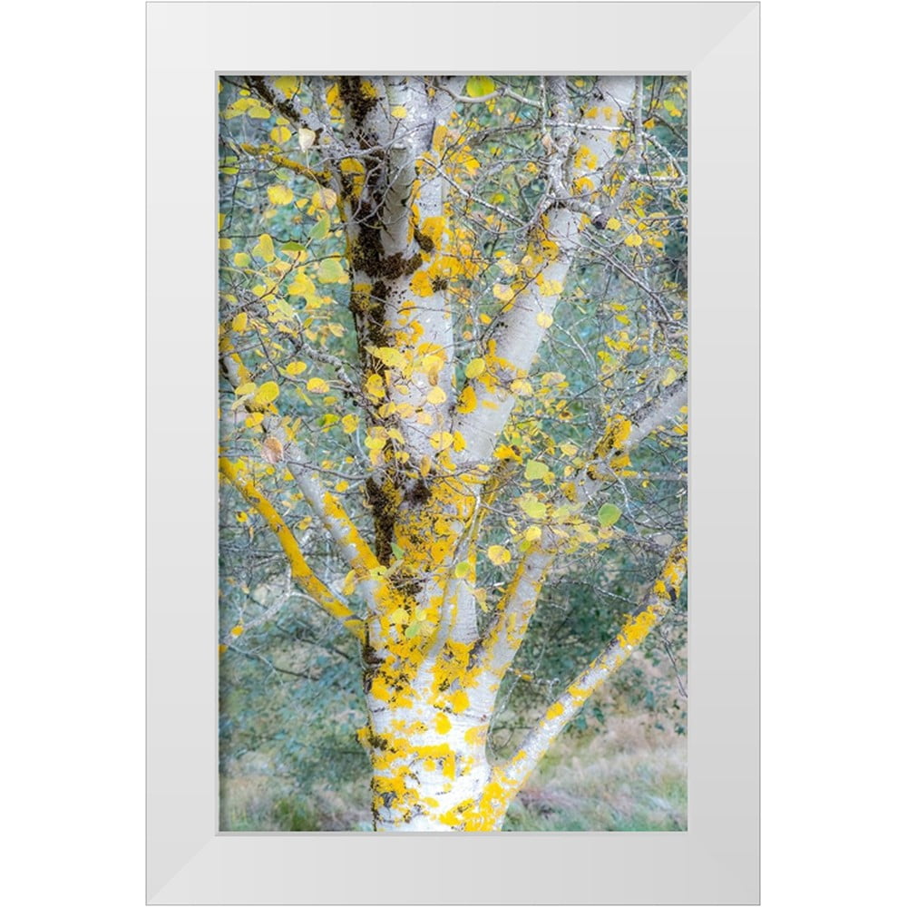 Gulin, Sylvia 21x32 White Modern Wood Framed Museum Art Print Titled ...