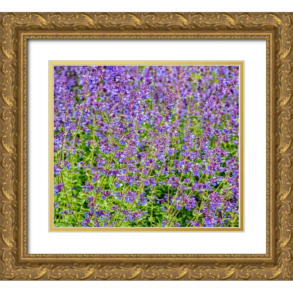 Gulin, Sylvia 22x20 Gold Ornate Wood Framed with Double Matting Museum ...