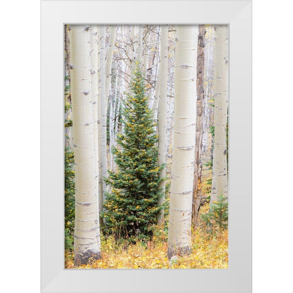 Gulin, Sylvia 23x32 White Modern Wood Framed Museum Art Print Titled ...