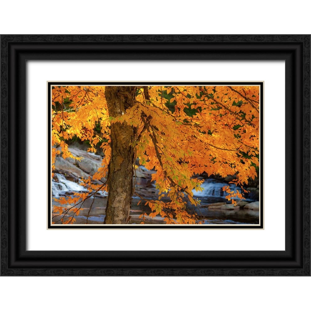 Gulin, Sylvia 24x17 Black Ornate Wood Framed with Double Matting Museum ...