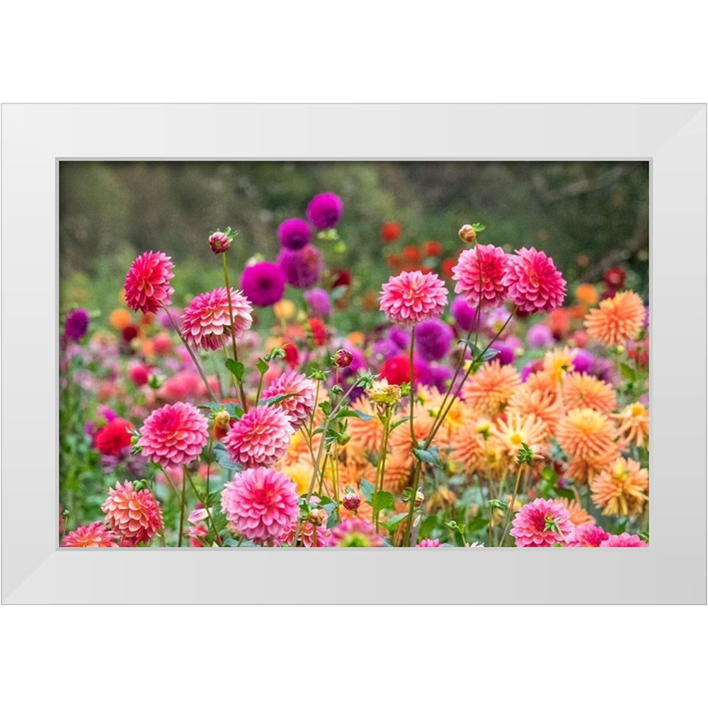 Gulin, Sylvia 24x17 White Modern Wood Framed Museum Art Print Titled ...