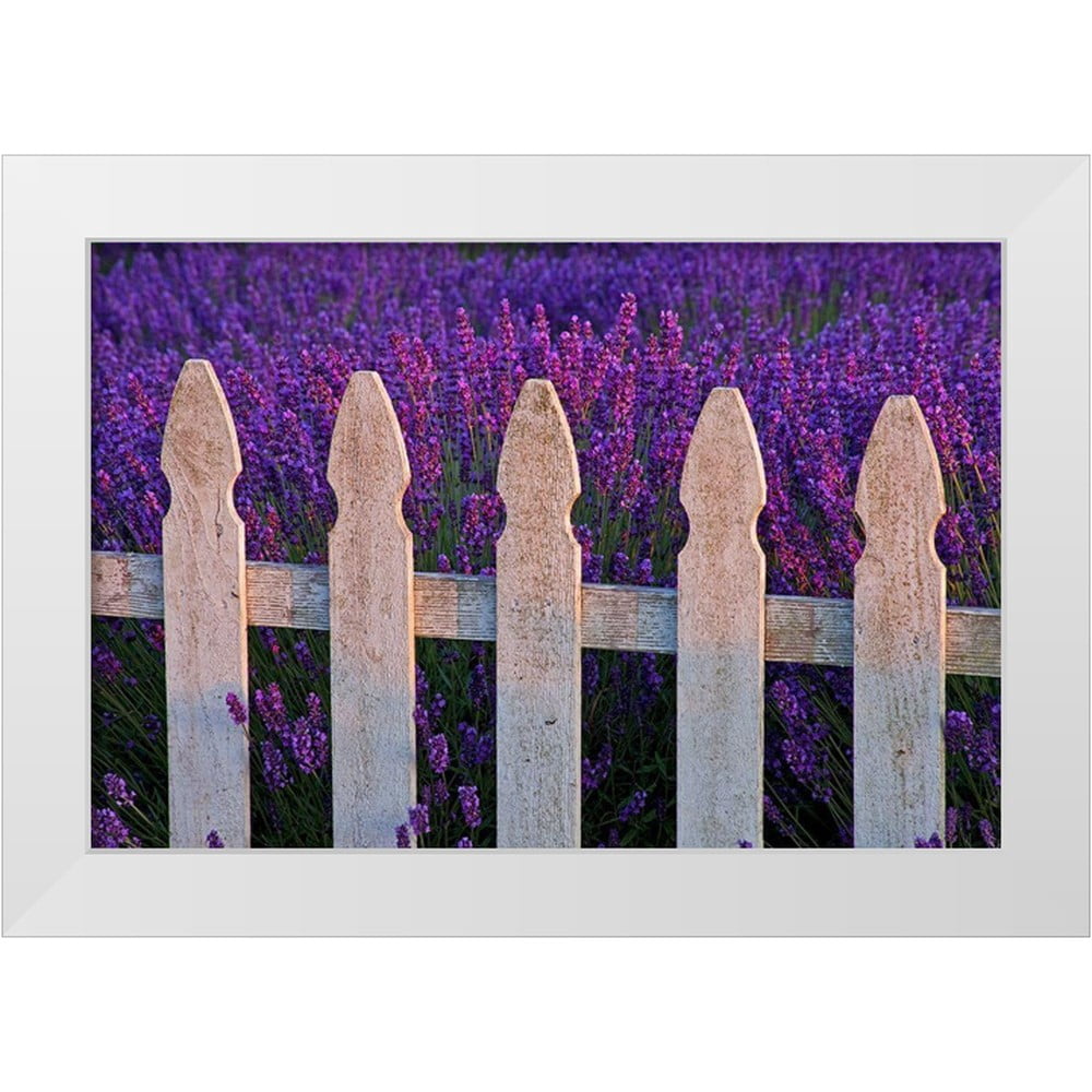 Gulin, Sylvia 24x17 White Modern Wood Framed Museum Art Print Titled ...