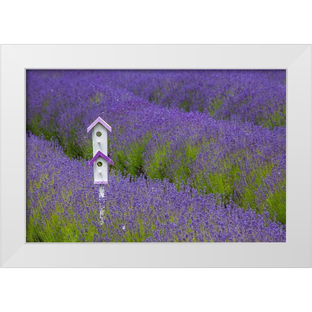 Gulin, Sylvia 24x17 White Modern Wood Framed Museum Art Print Titled ...