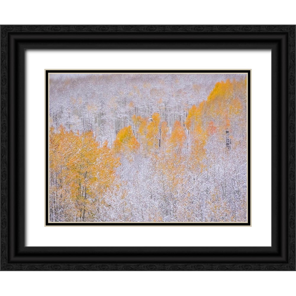 Gulin, Sylvia 24x19 Black Ornate Wood Framed with Double Matting Museum ...