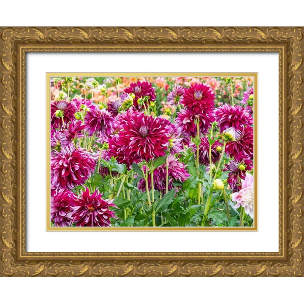 Gulin, Sylvia 24x19 Gold Ornate Wood Framed with Double Matting Museum ...