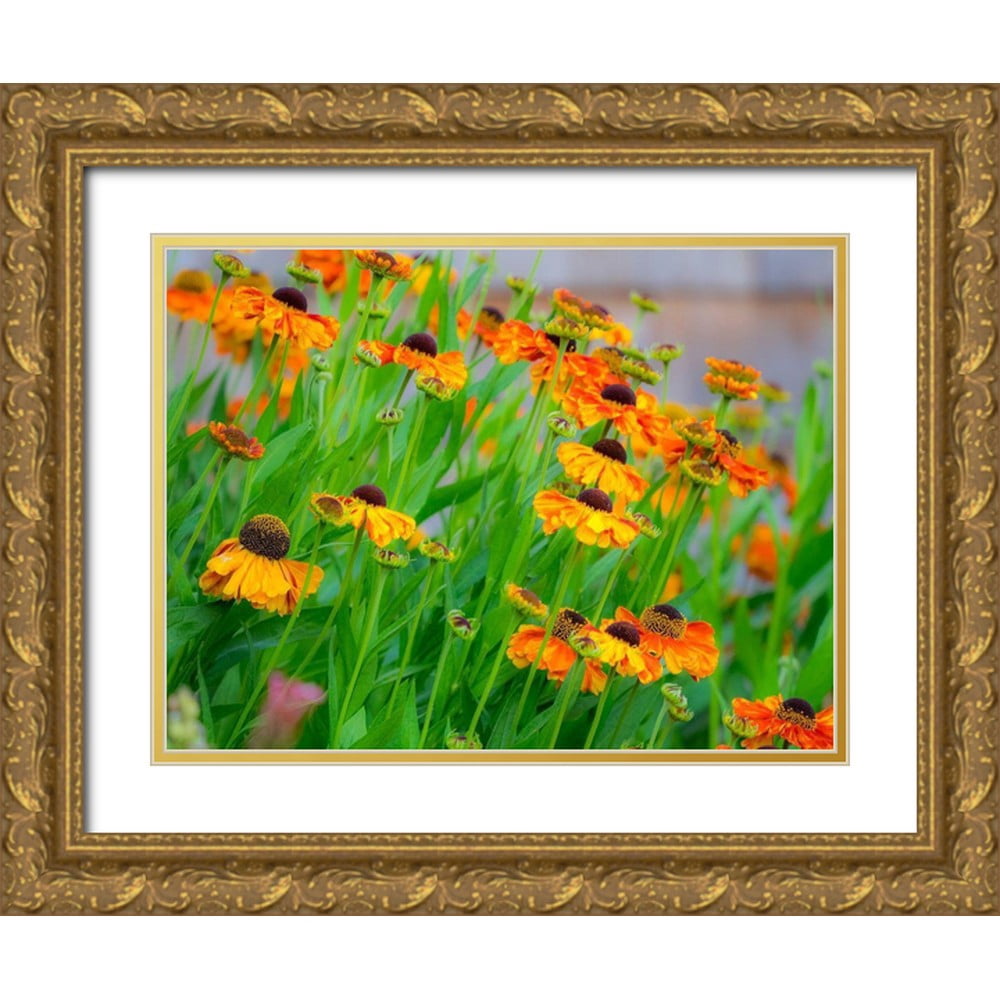 Gulin, Sylvia 24x19 Gold Ornate Wood Framed with Double Matting Museum ...