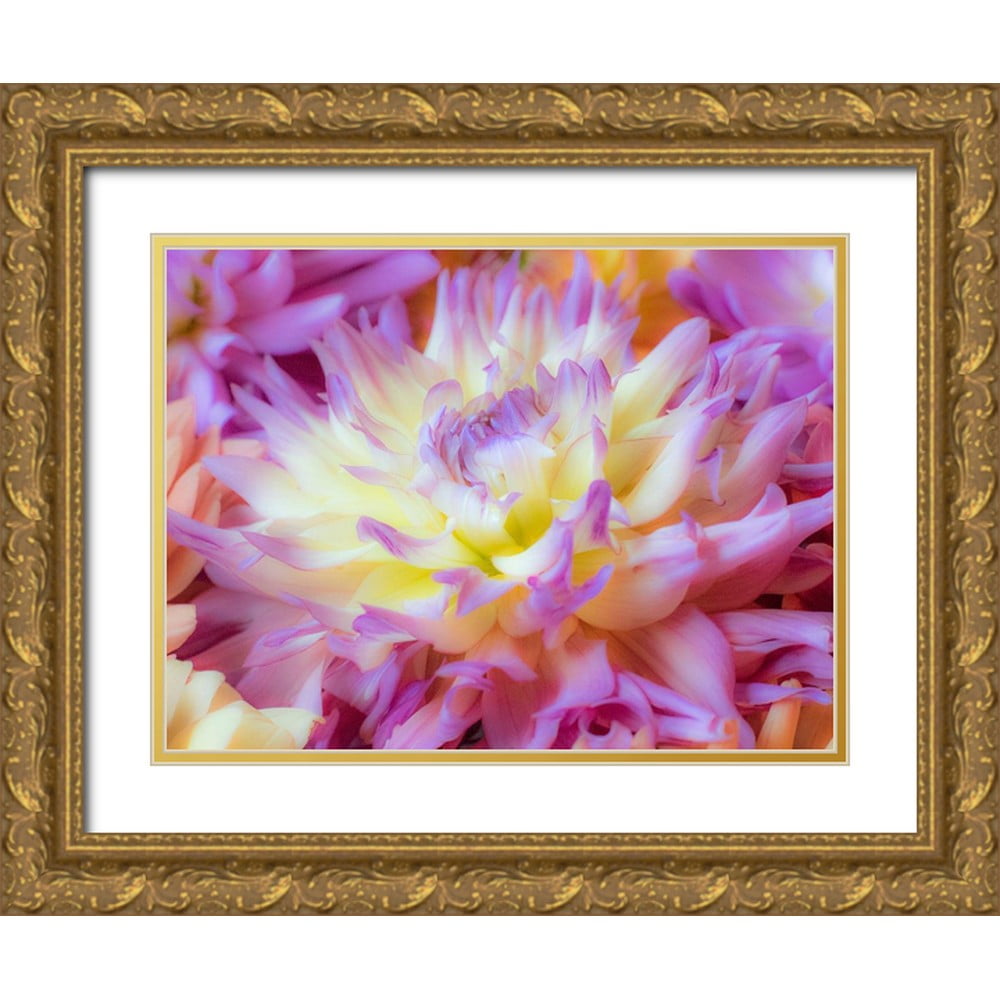 Gulin, Sylvia 24x19 Gold Ornate Wood Framed with Double Matting Museum ...