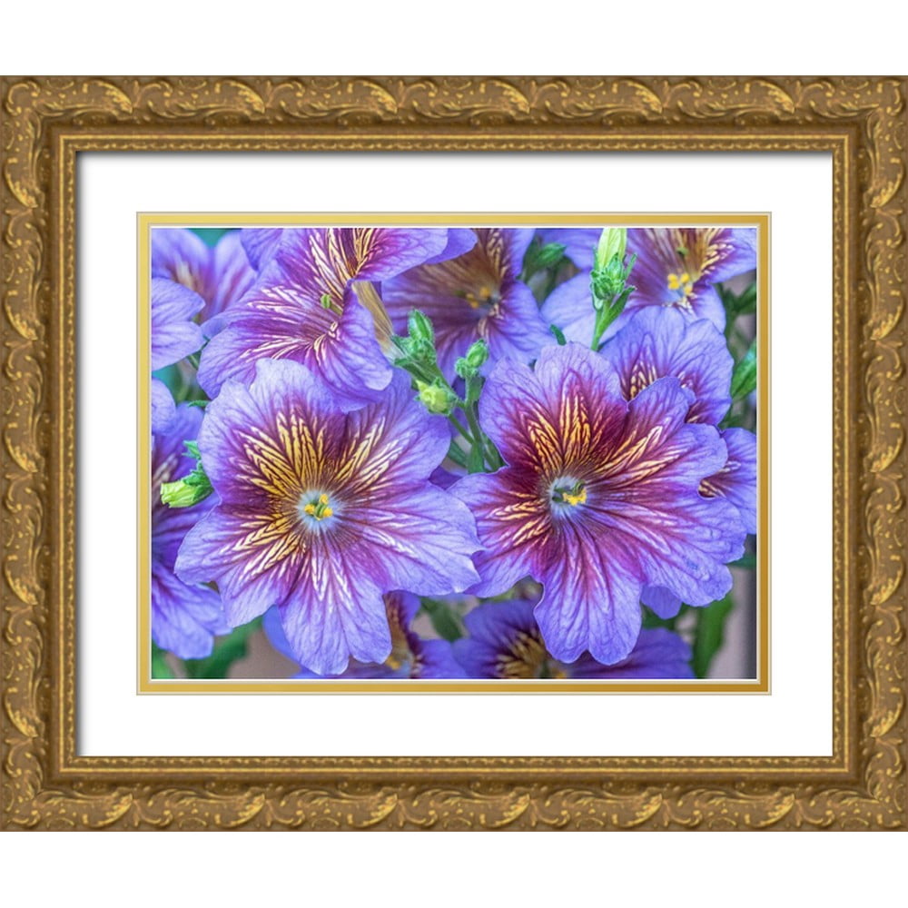 Gulin, Sylvia 24x19 Gold Ornate Wood Framed with Double Matting Museum ...