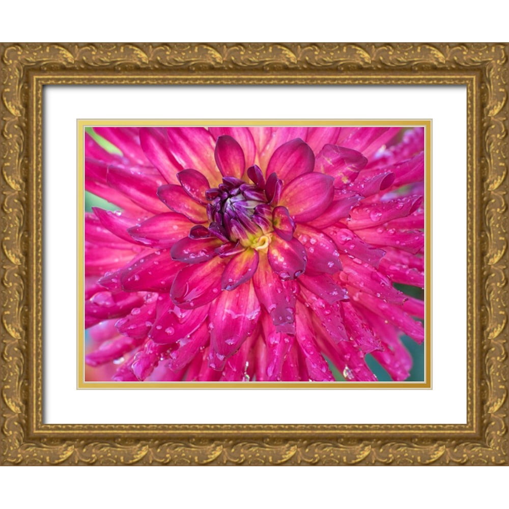 Gulin, Sylvia 24x19 Gold Ornate Wood Framed with Double Matting Museum ...