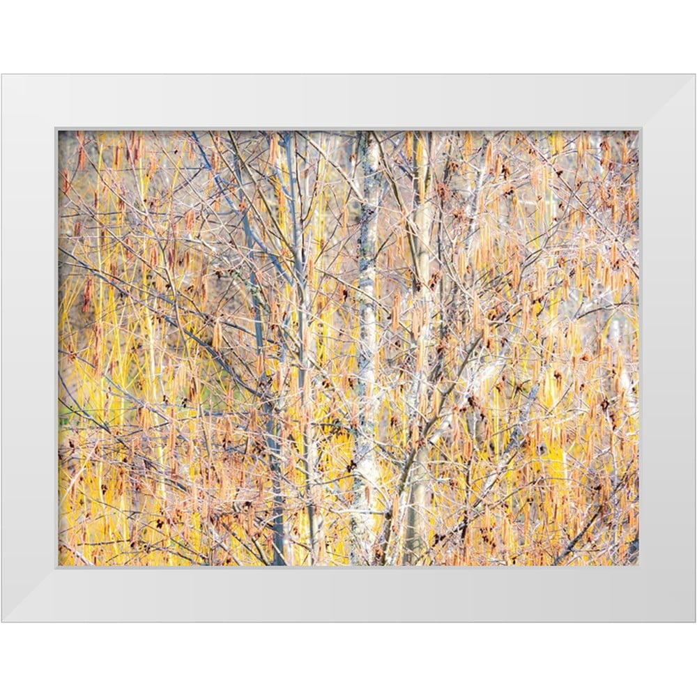Gulin, Sylvia 24x19 White Modern Wood Framed Museum Art Print Titled ...