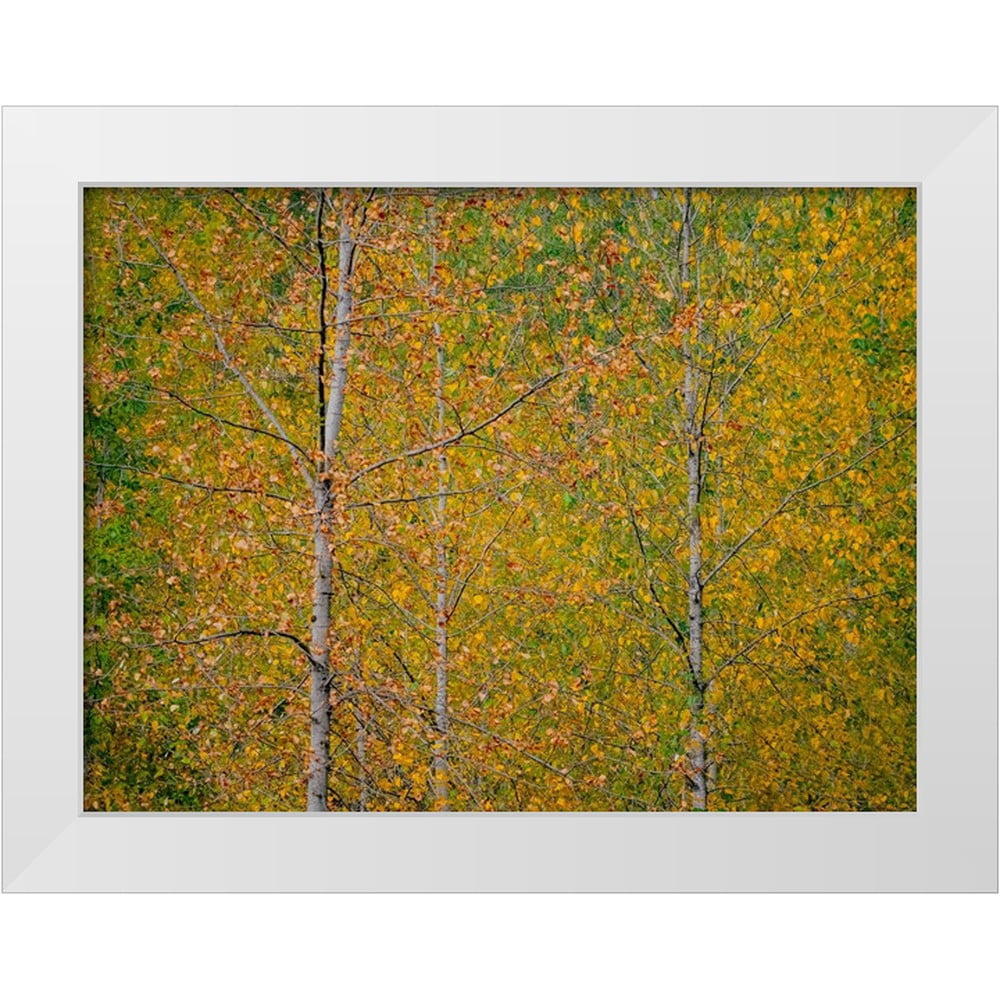 Gulin, Sylvia 24x19 White Modern Wood Framed Museum Art Print Titled ...