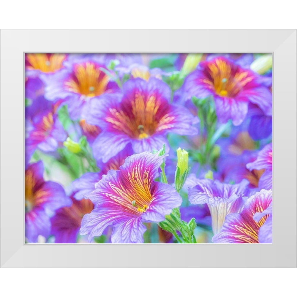 Gulin, Sylvia 24x19 White Modern Wood Framed Museum Art Print Titled ...