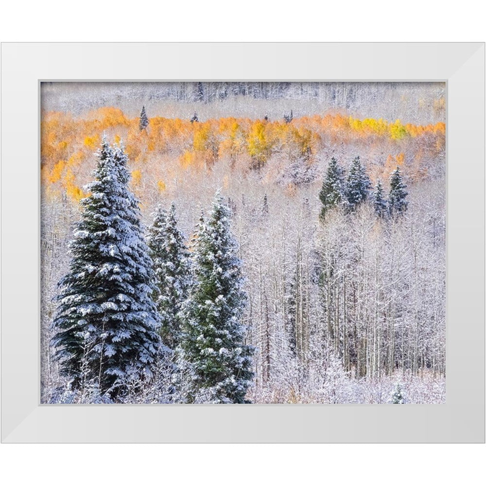 Gulin, Sylvia 24x20 White Modern Wood Framed Museum Art Print Titled ...