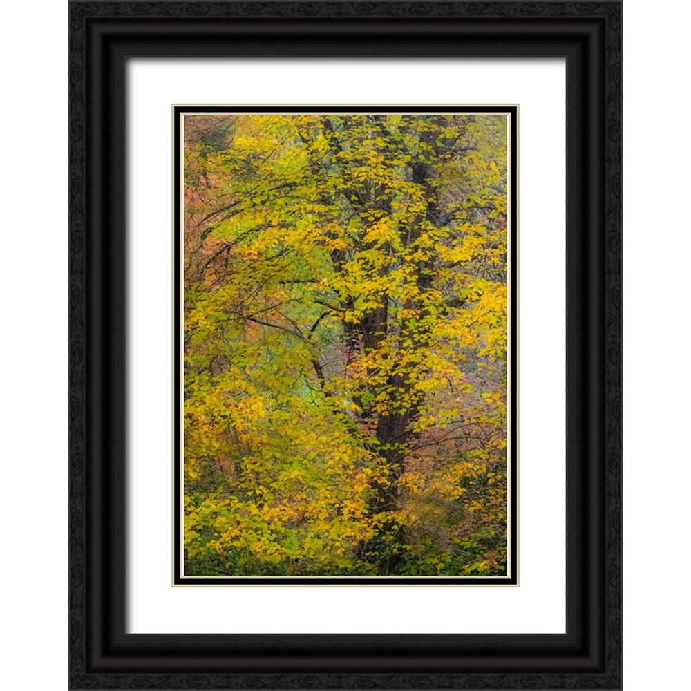 Gulin, Sylvia 24x32 Black Ornate Wood Framed with Double Matting Museum ...