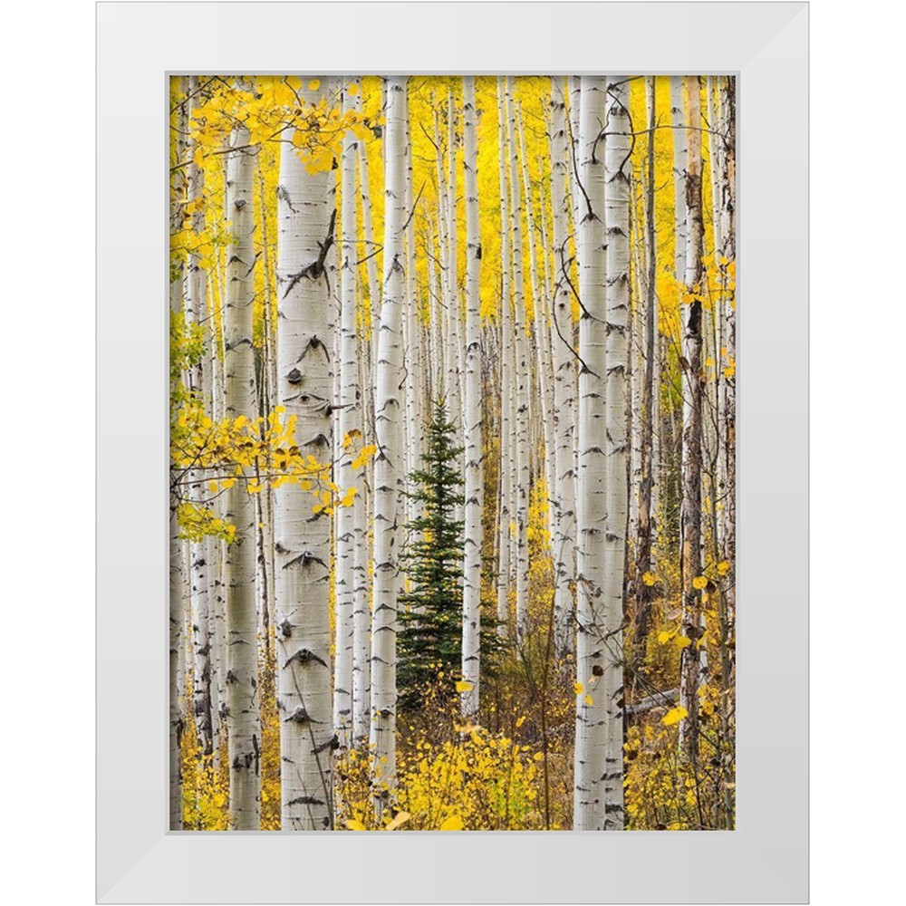 Gulin, Sylvia 25x32 White Modern Wood Framed Museum Art Print Titled ...