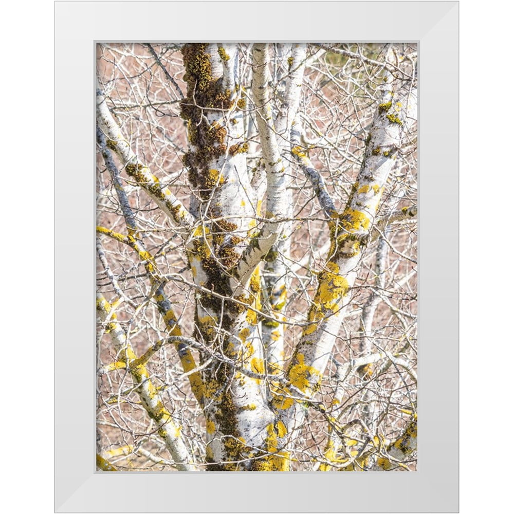 Gulin, Sylvia 25x32 White Modern Wood Framed Museum Art Print Titled ...