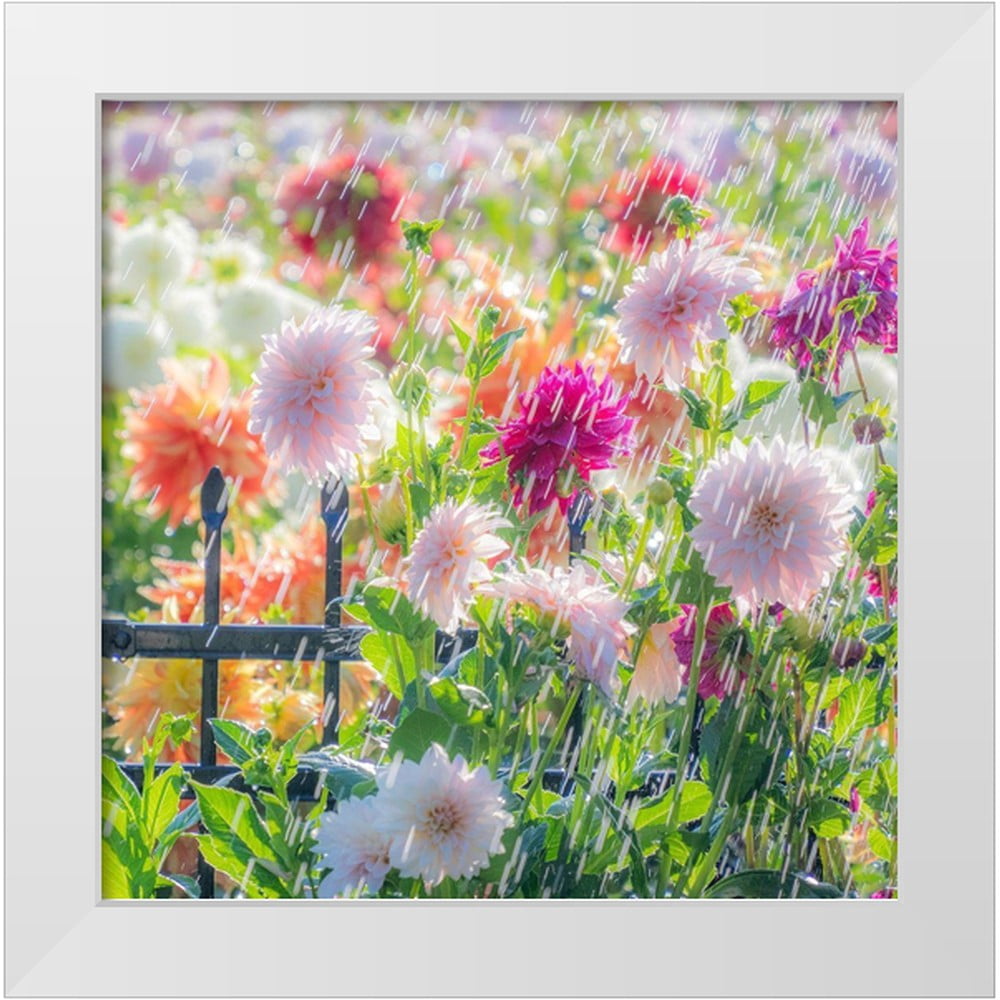 Gulin, Sylvia 26x26 White Modern Wood Framed Museum Art Print Titled ...