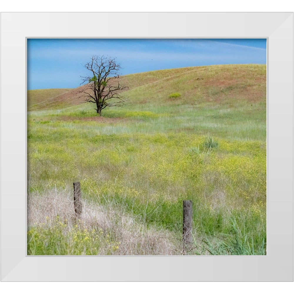 Gulin, Sylvia 28x26 White Modern Wood Framed Museum Art Print Titled ...