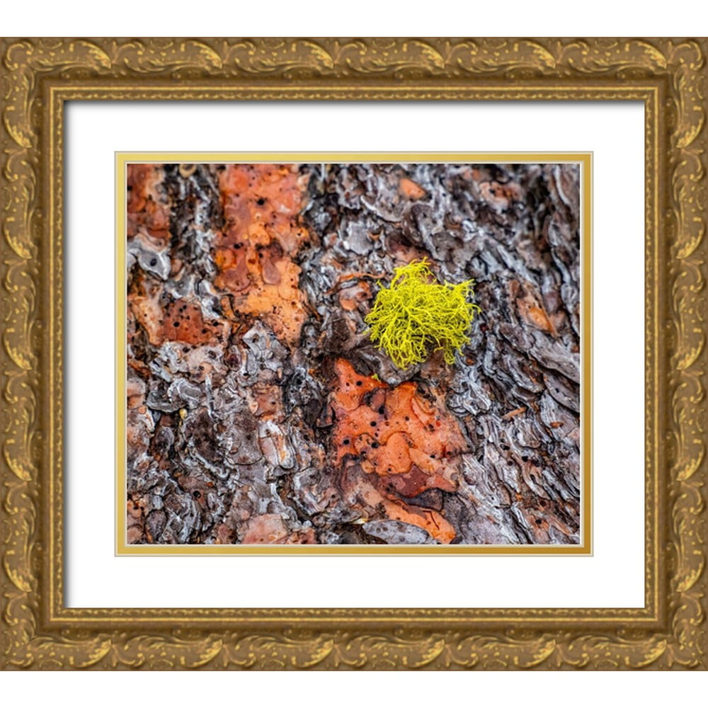 Gulin, Sylvia 30x26 Gold Ornate Wood Framed with Double Matting Museum Art Print Titled - USA ...