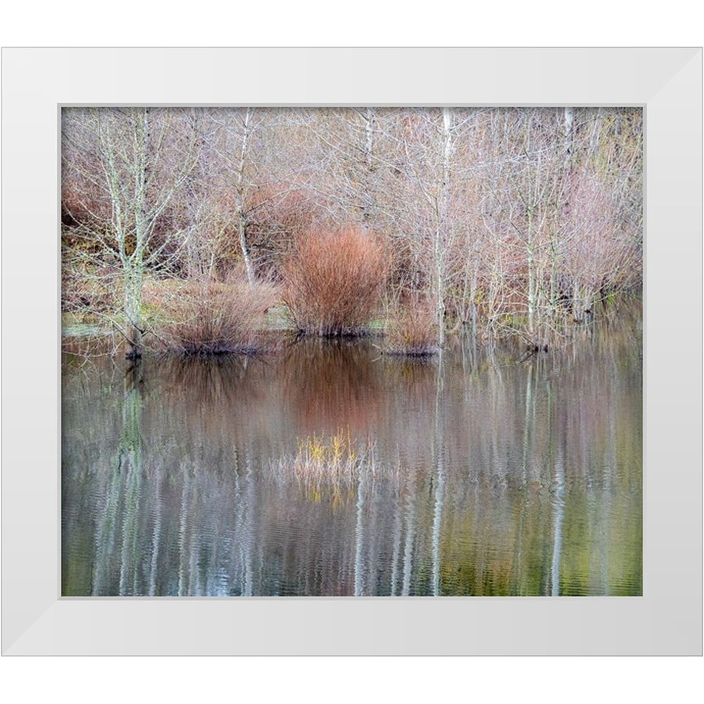 Gulin, Sylvia 30x26 White Modern Wood Framed Museum Art Print Titled - USA-Washington State ...