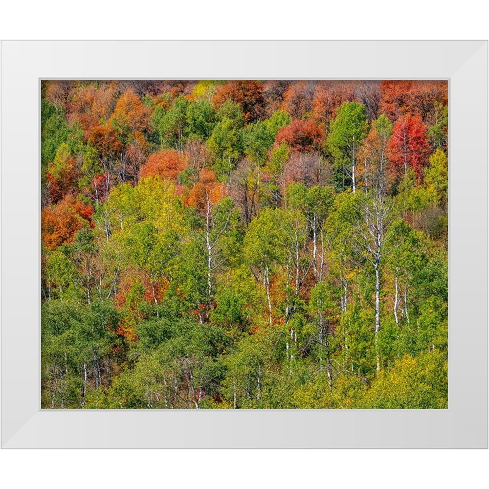 Gulin, Sylvia 31x26 White Modern Wood Framed Museum Art Print Titled ...