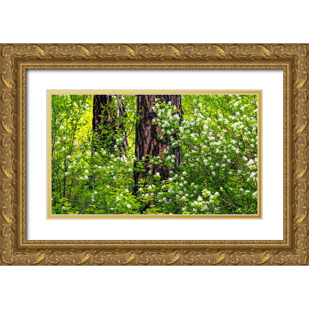 Gulin, Sylvia 32x20 Gold Ornate Wood Framed with Double Matting Museum ...