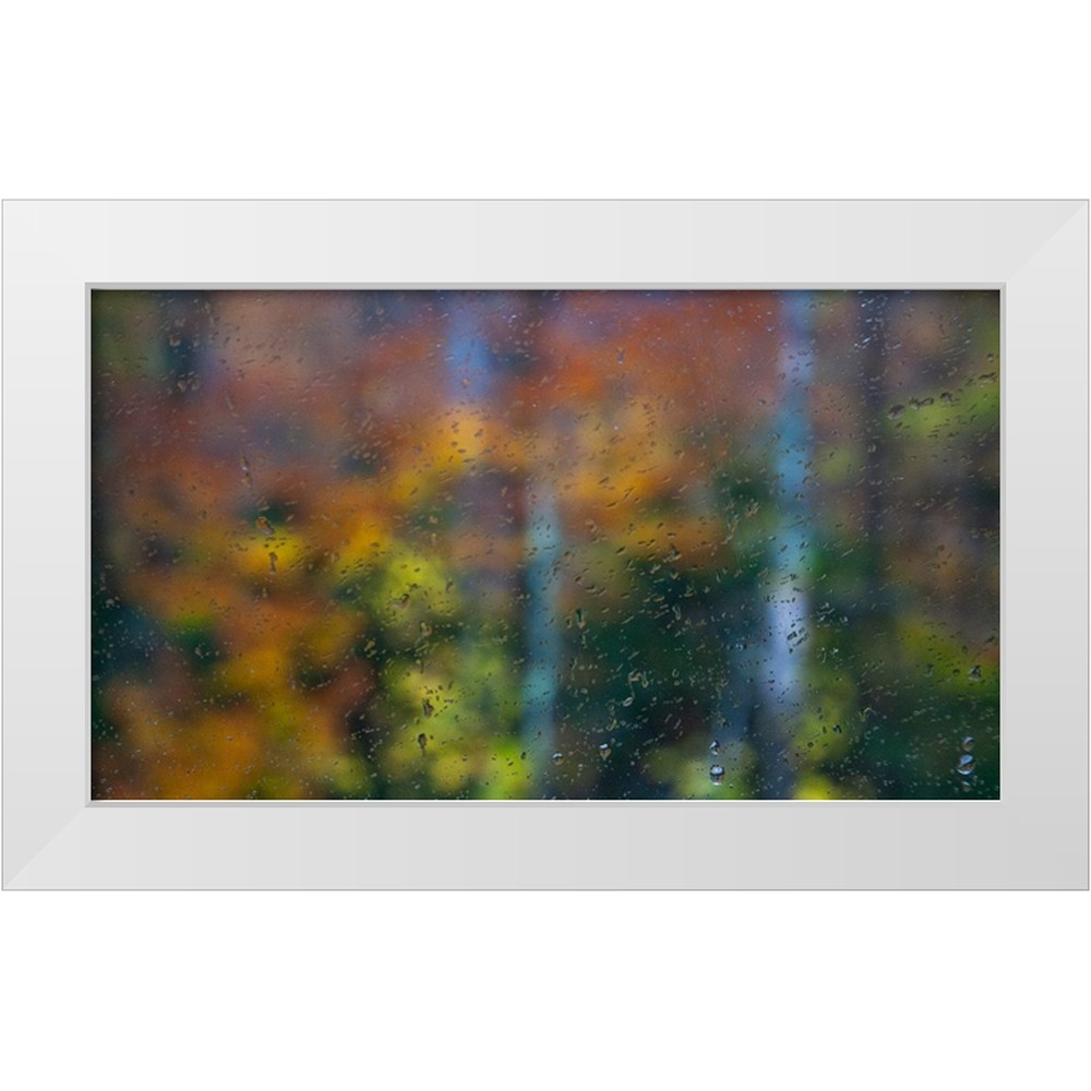 Gulin, Sylvia 32x20 White Modern Wood Framed Museum Art Print Titled ...