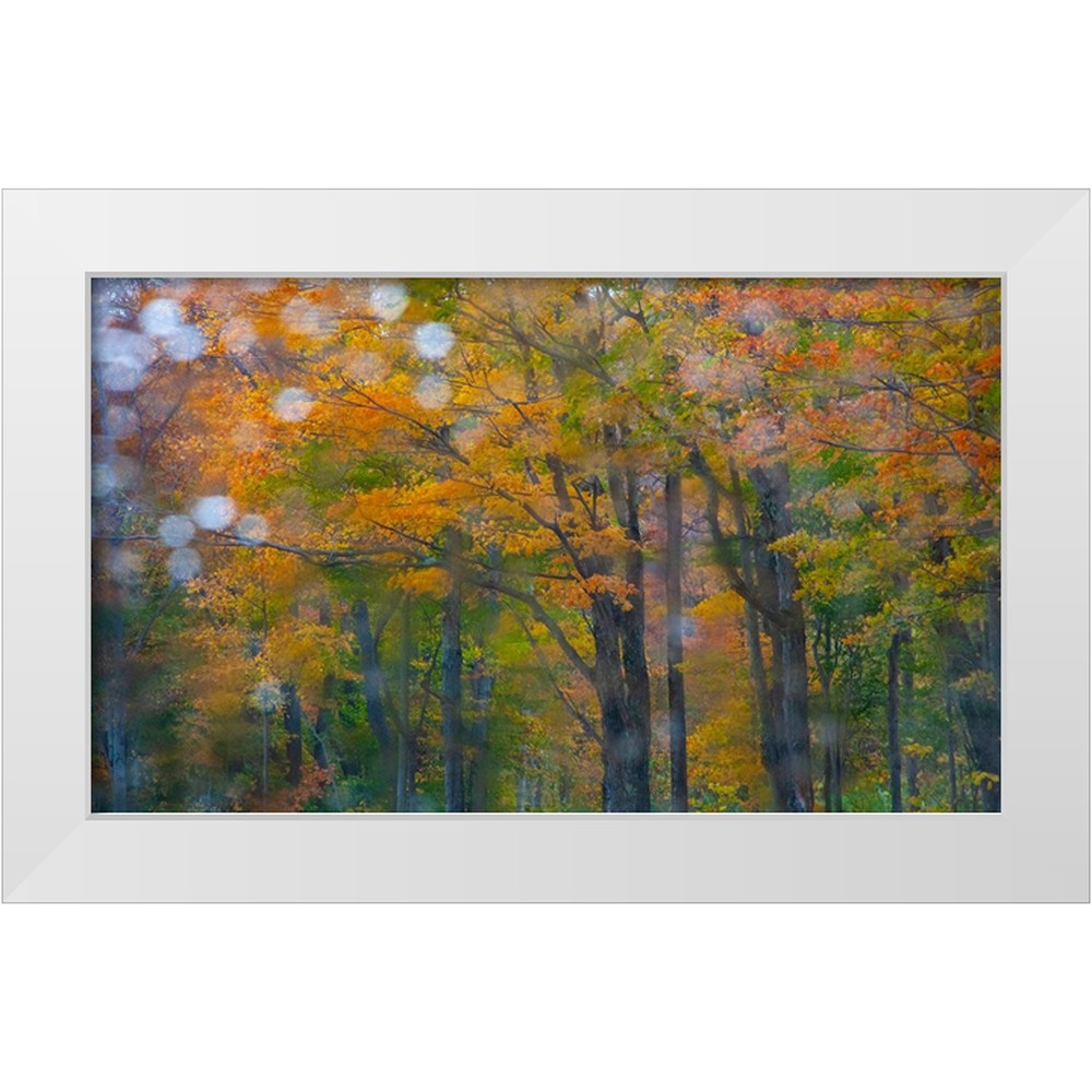 Gulin, Sylvia 32x20 White Modern Wood Framed Museum Art Print Titled ...