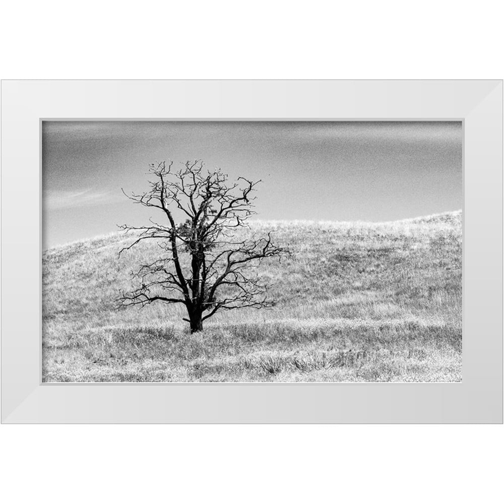 Gulin, Sylvia 32x21 White Modern Wood Framed Museum Art Print Titled ...