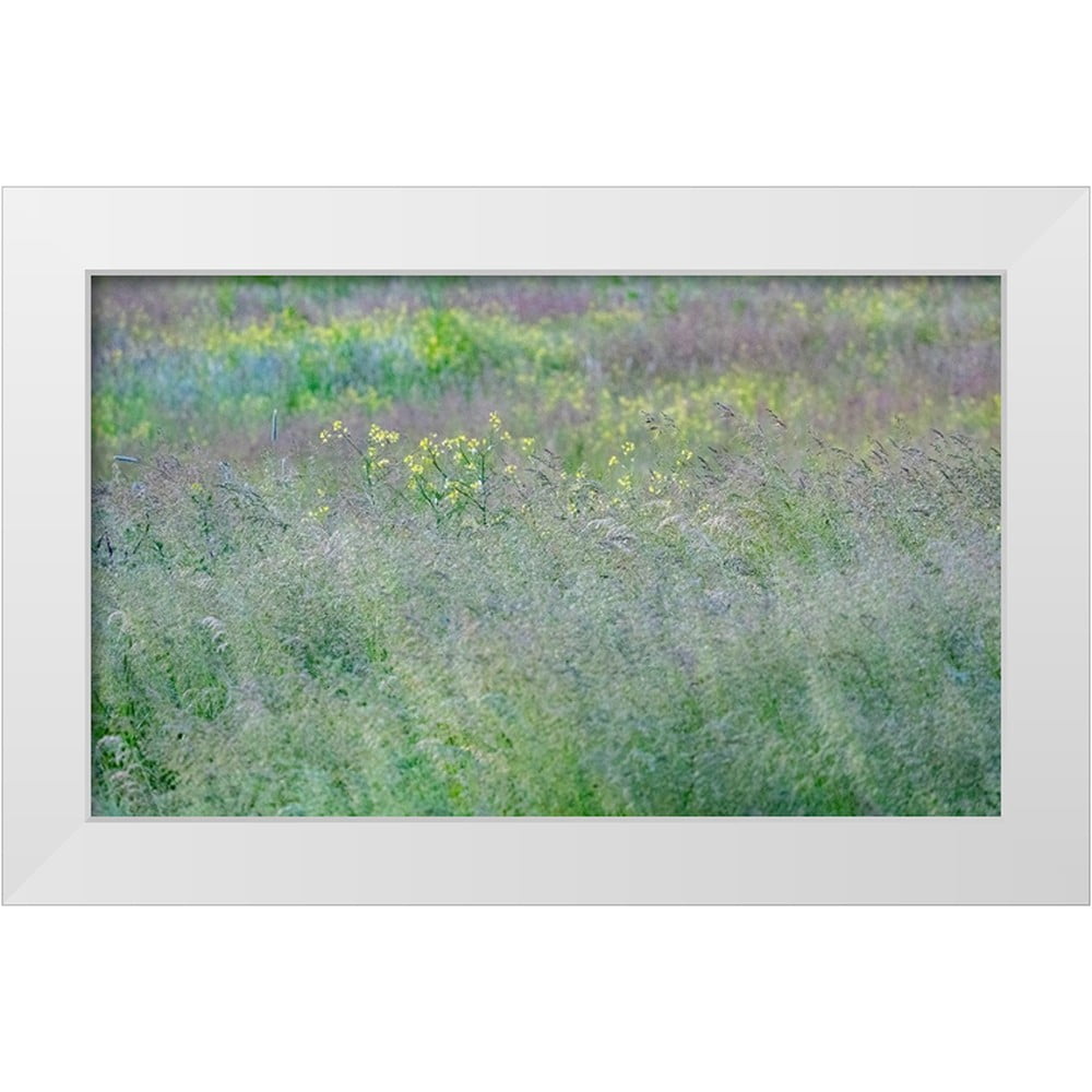 Gulin, Sylvia 32x21 White Modern Wood Framed Museum Art Print Titled ...