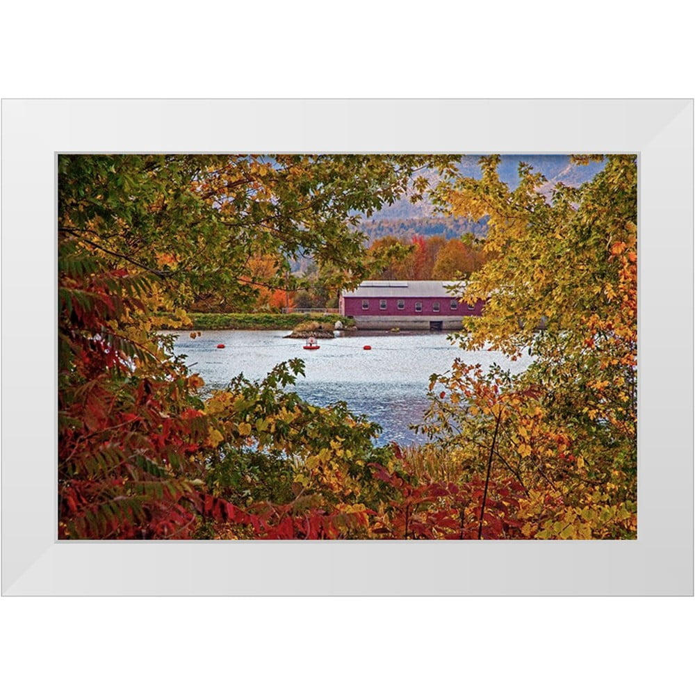 Gulin, Sylvia 32x23 White Modern Wood Framed Museum Art Print Titled ...