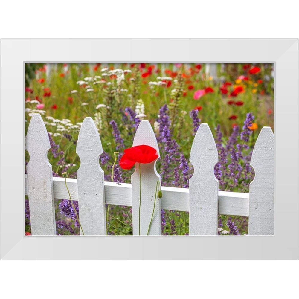 Gulin, Sylvia 32x23 White Modern Wood Framed Museum Art Print Titled ...