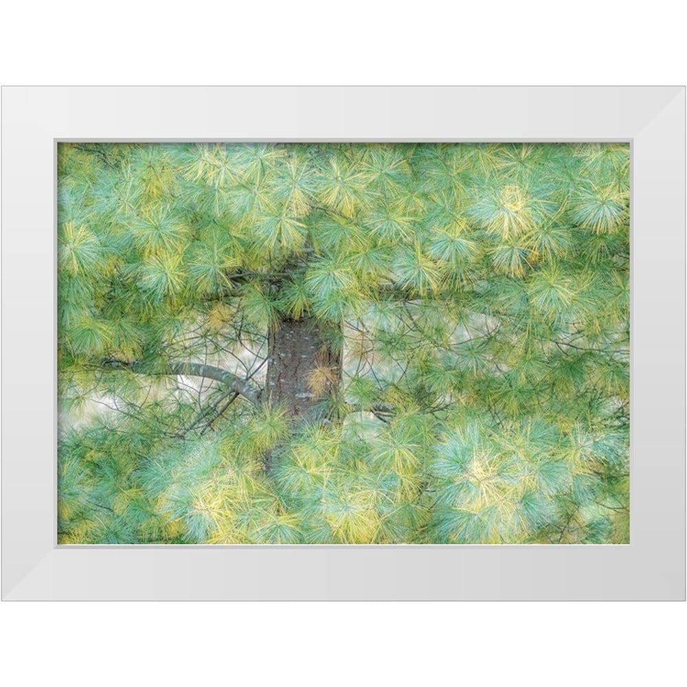 Gulin, Sylvia 32x24 White Modern Wood Framed Museum Art Print Titled ...