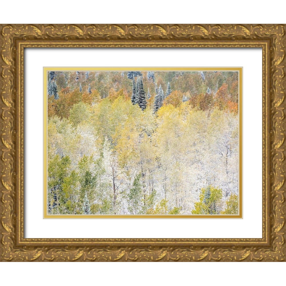 Gulin, Sylvia 32x25 Gold Ornate Wood Framed with Double Matting Museum ...