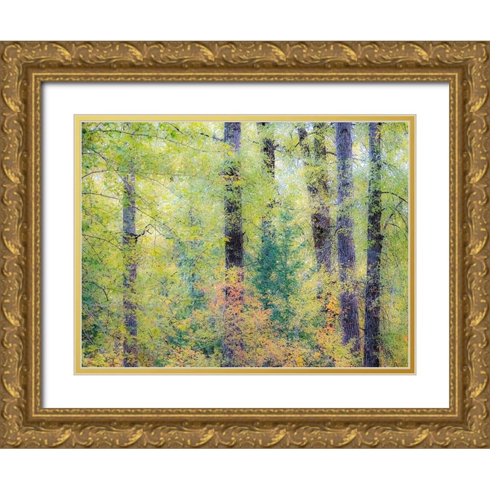 Gulin, Sylvia 32x25 Gold Ornate Wood Framed with Double Matting Museum Art Print Titled ...