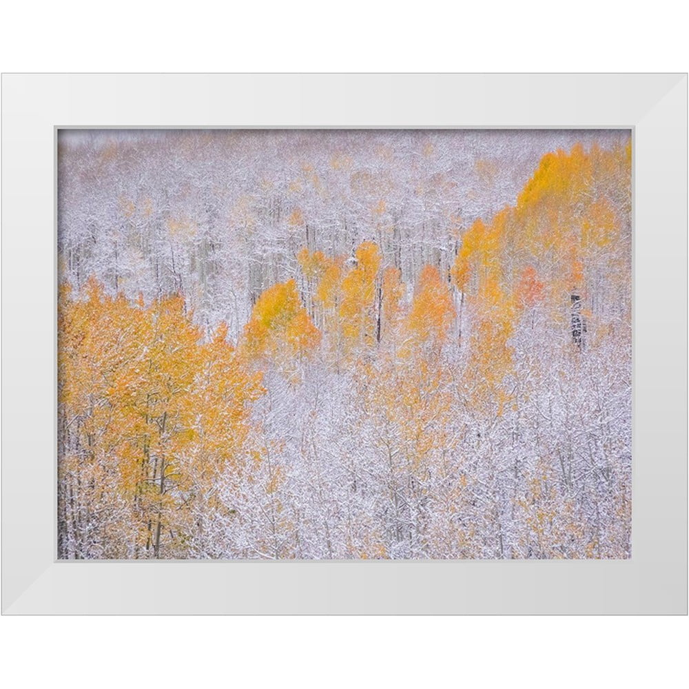 Gulin, Sylvia 32x25 White Modern Wood Framed Museum Art Print Titled ...
