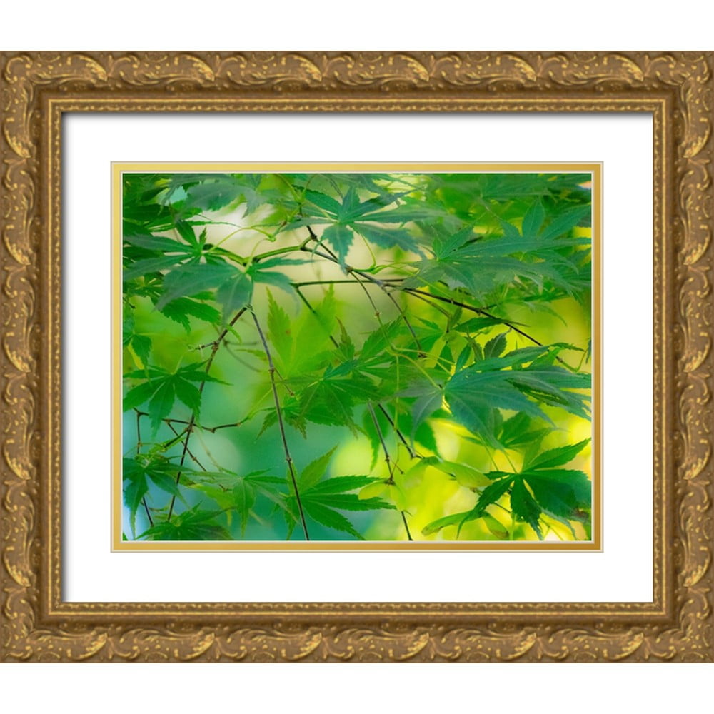 Gulin, Sylvia 32x26 Gold Ornate Wood Framed with Double Matting Museum ...