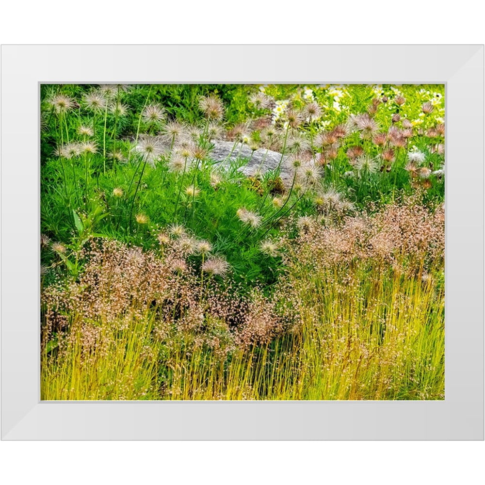 Gulin, Sylvia 32x26 White Modern Wood Framed Museum Art Print Titled ...