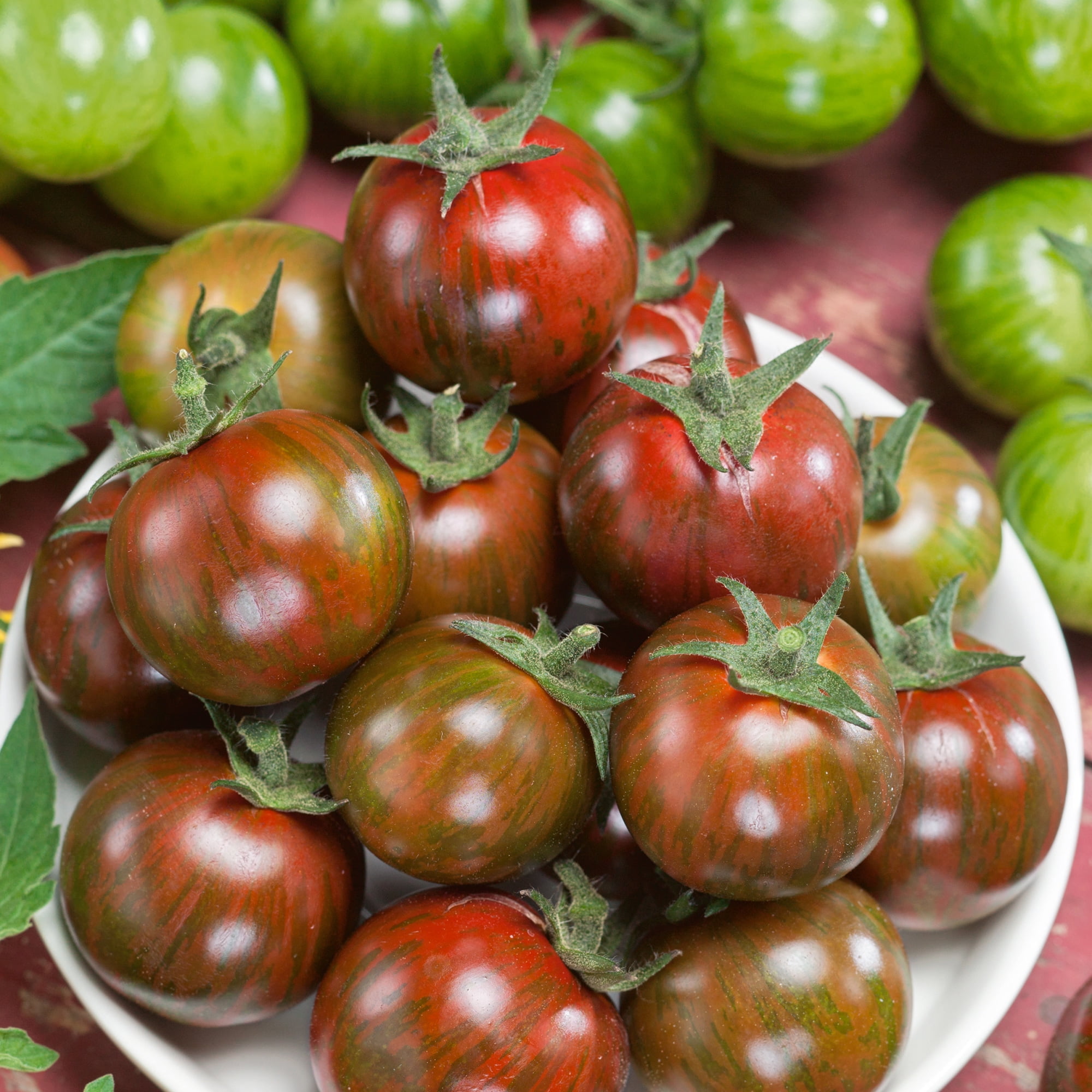Gum Drop Brown F1 Hybrid Tomato Seeds - 300 Mg Packet ~70 Seeds - Non ...