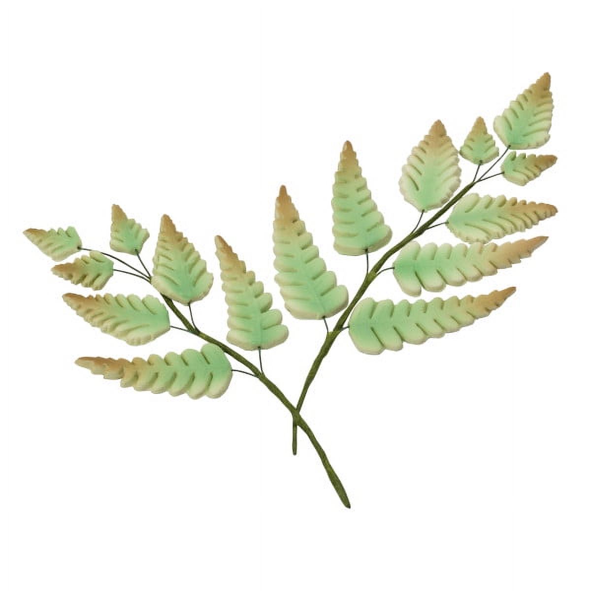 Gum Paste - Airy Ferns (12 pieces) - Walmart.com