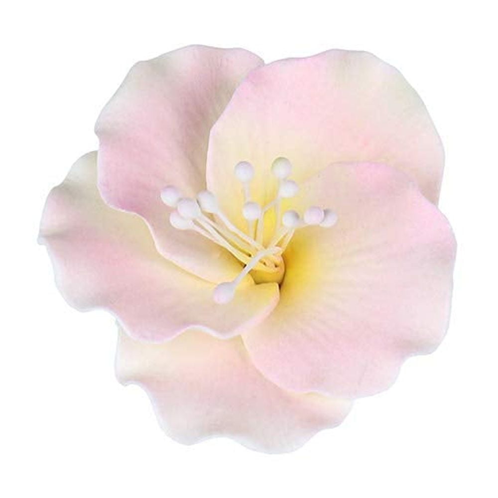 Gumpaste White-&- Flower Set of 6-2 Inch - Edible Flowers for Cake ...