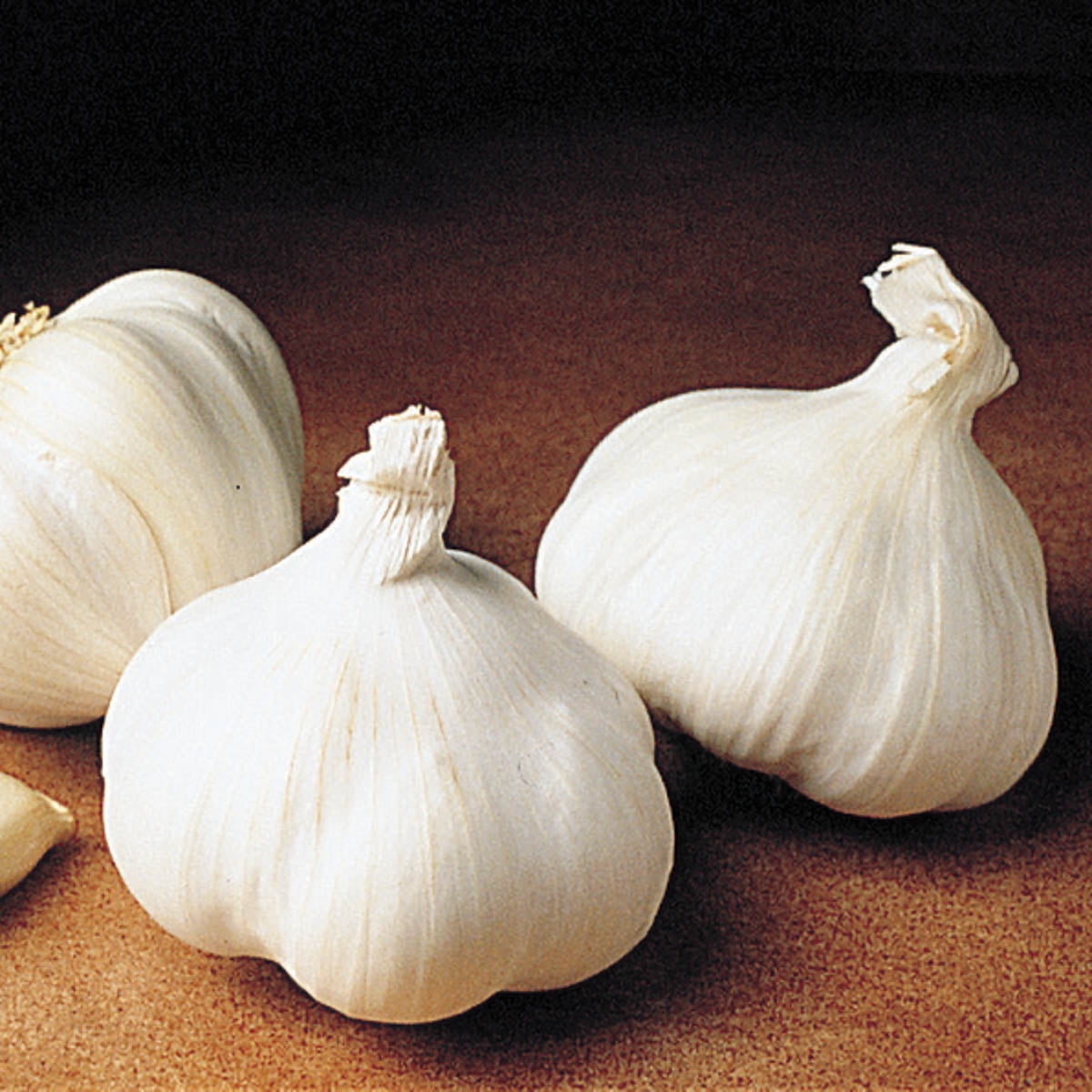 Gurney's Great Lakes Softneck Garlic Bulb, Set of 1 Bulb - Walmart.com