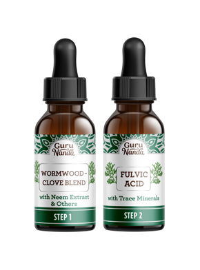 Parasite Cleanse in Cleanses - Walmart.com